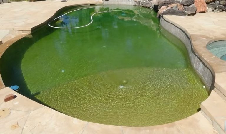To Close or Not to Close: Algae's Impact on Pool Winterization